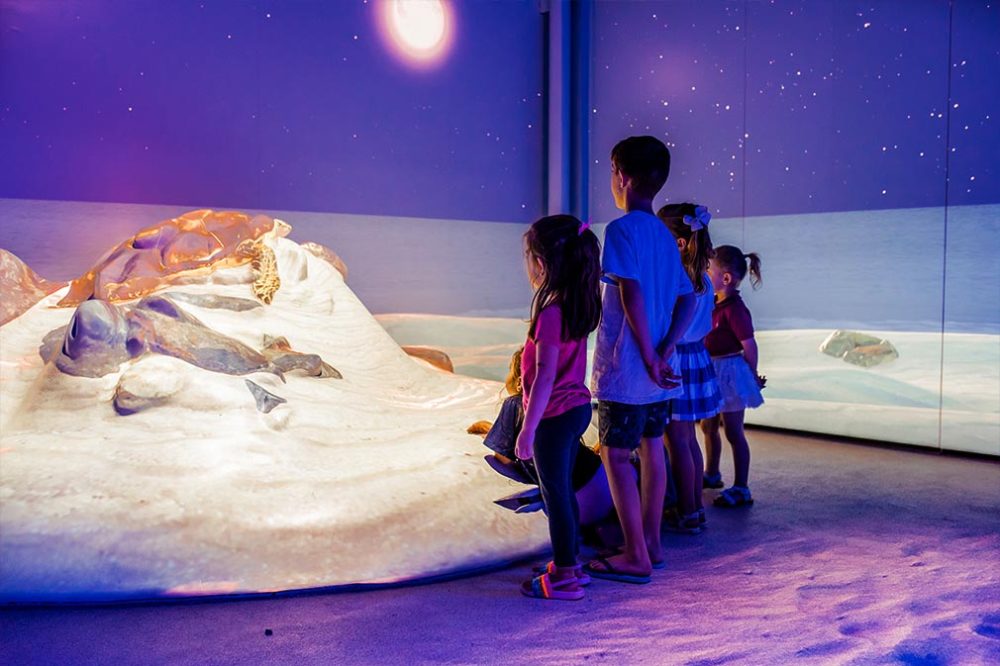 Creating underwater magic