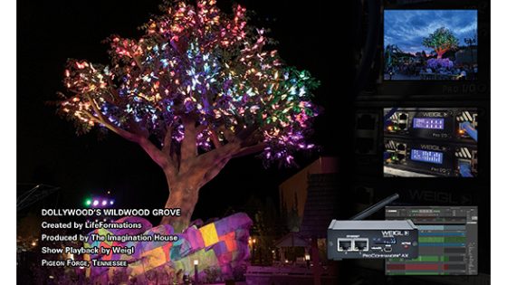 Dollywood tree twinkles with 650 LED butterlies | AV Magazine