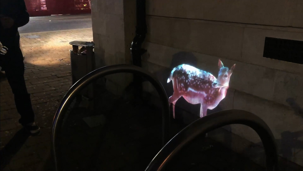Moving AR projection shows deer at play at night