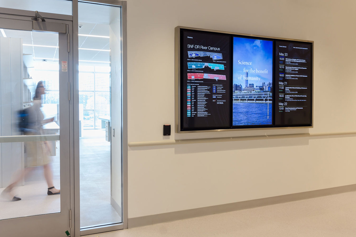 Brightsign brings biomedical art to signage | AV Magazine