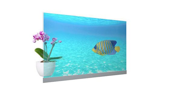 Panasonic launches transparent 55-inch OLED displays | AV Magazine