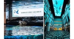 Behind the Middle East's biggest 8K ceiling screen | AV Magazine