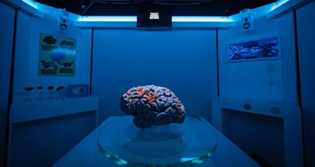 The AV brains behind an MRI-themed escape room | AV Magazine