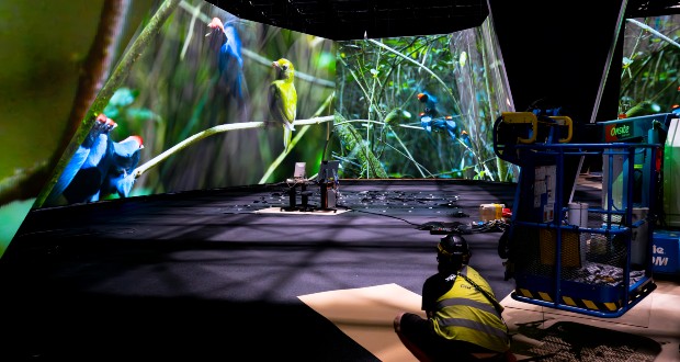 HIVE adds green touch to Australia's BBC Earth Experience | AV Magazine