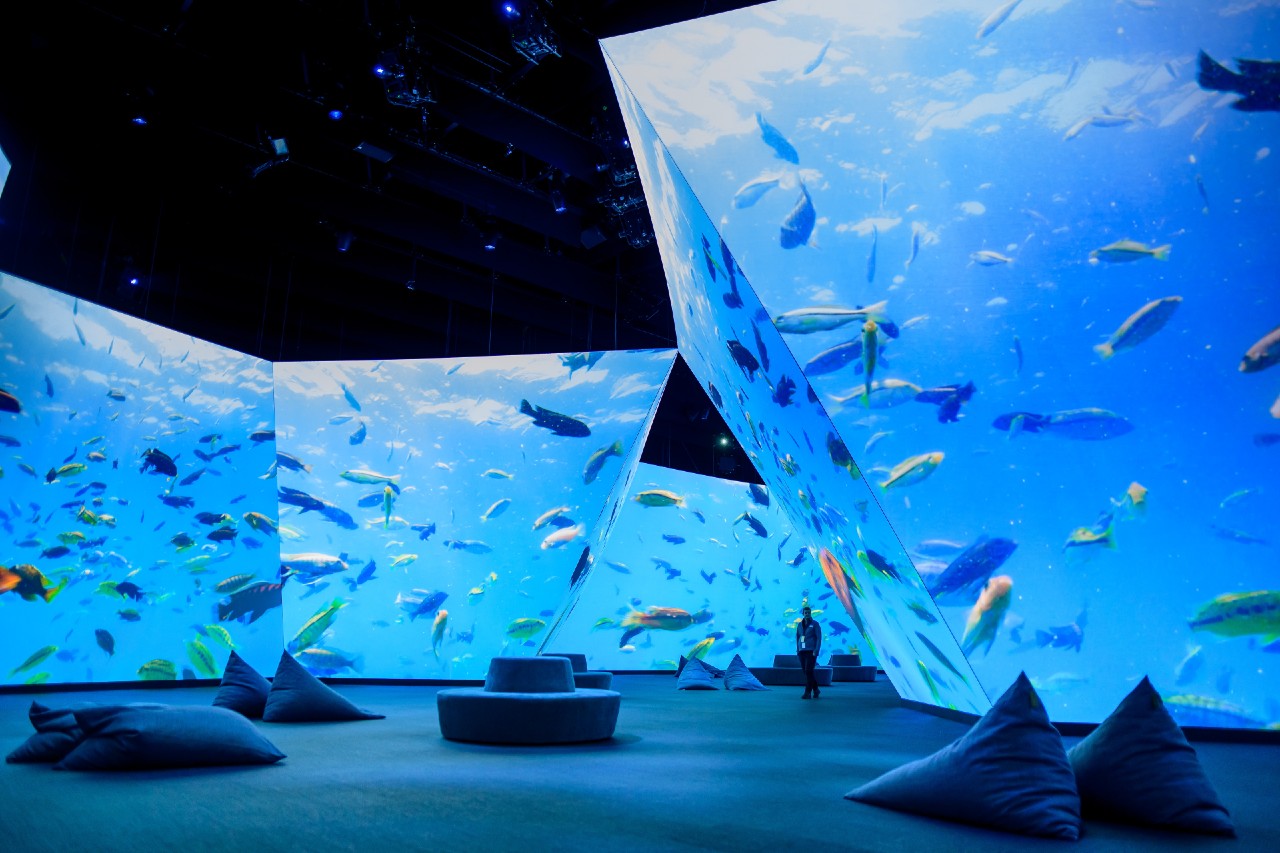 HIVE adds green touch to Australia's BBC Earth Experience | AV Magazine