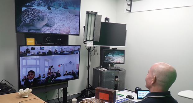 Videoconferencing brings turtle experts into UK school | AV Magazine