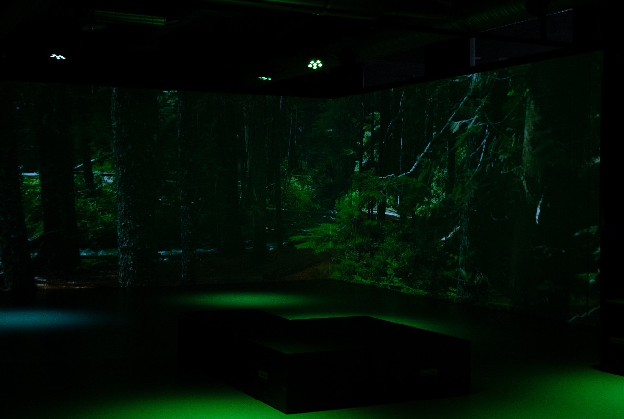 Immersive simulation boosts learning for 5,000 students | AV Magazine