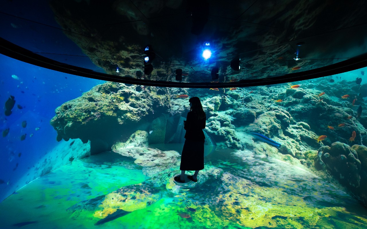 Igloo Vision to power three immersive spaces at InfoComm | AV Magazine