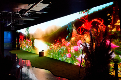 Paradigm AV and Clusta supply interactive window display for Selfridges