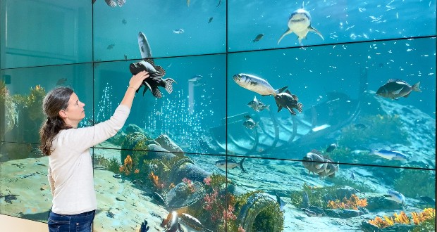 Peerless-AV supports interactive ‘living surfaces’ showroom | AV Magazine