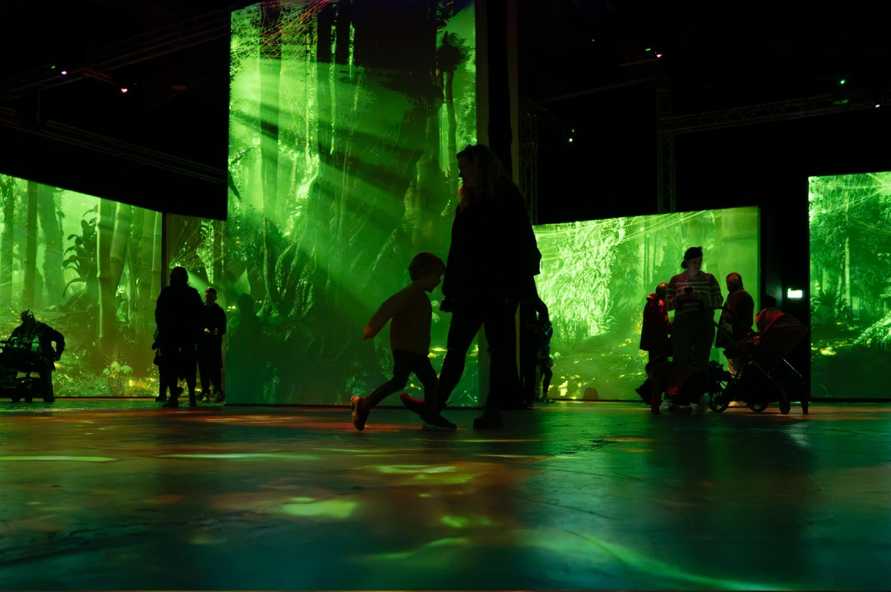 Chester Zoo stages 360° multi-screen BEASTS experience | AV Magazine