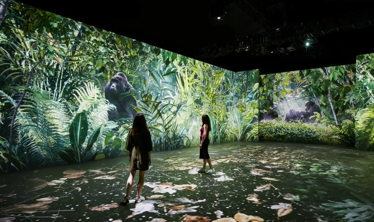 David Attenborough immersive experience turns to HIVE | AV Magazine